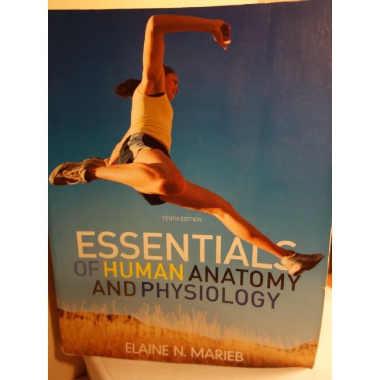 Essentials Of Human Anatomy And Physiology E Marieb